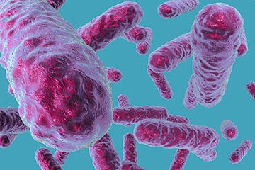 CPE Education Sheet | CloroxPro