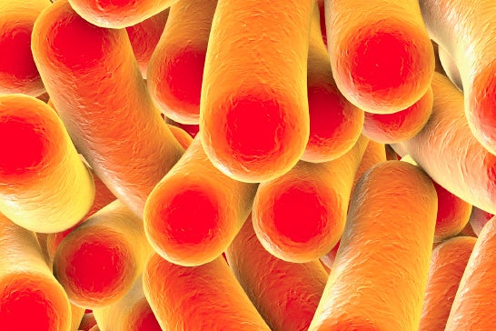 C. diff Education Sheet | CloroxPro